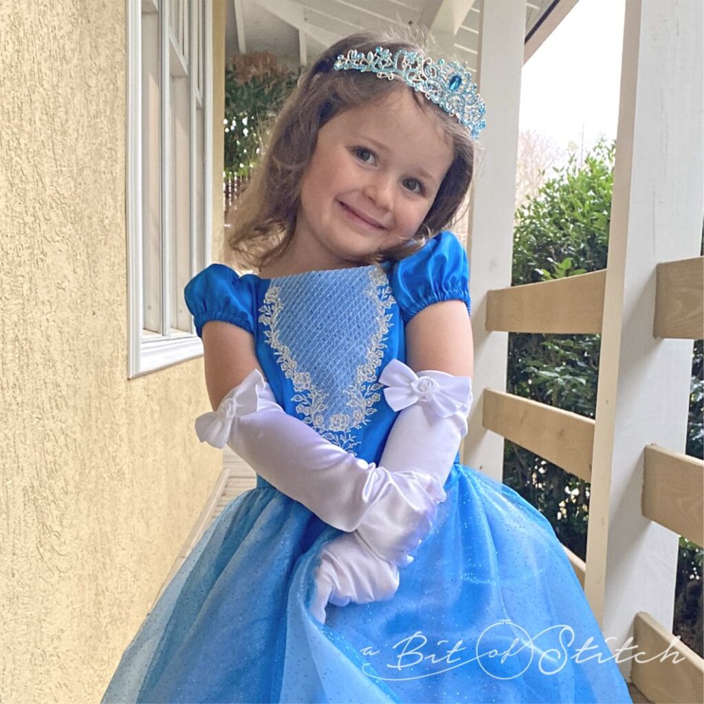 Princess Bodice Lace - A Bit of Stitch